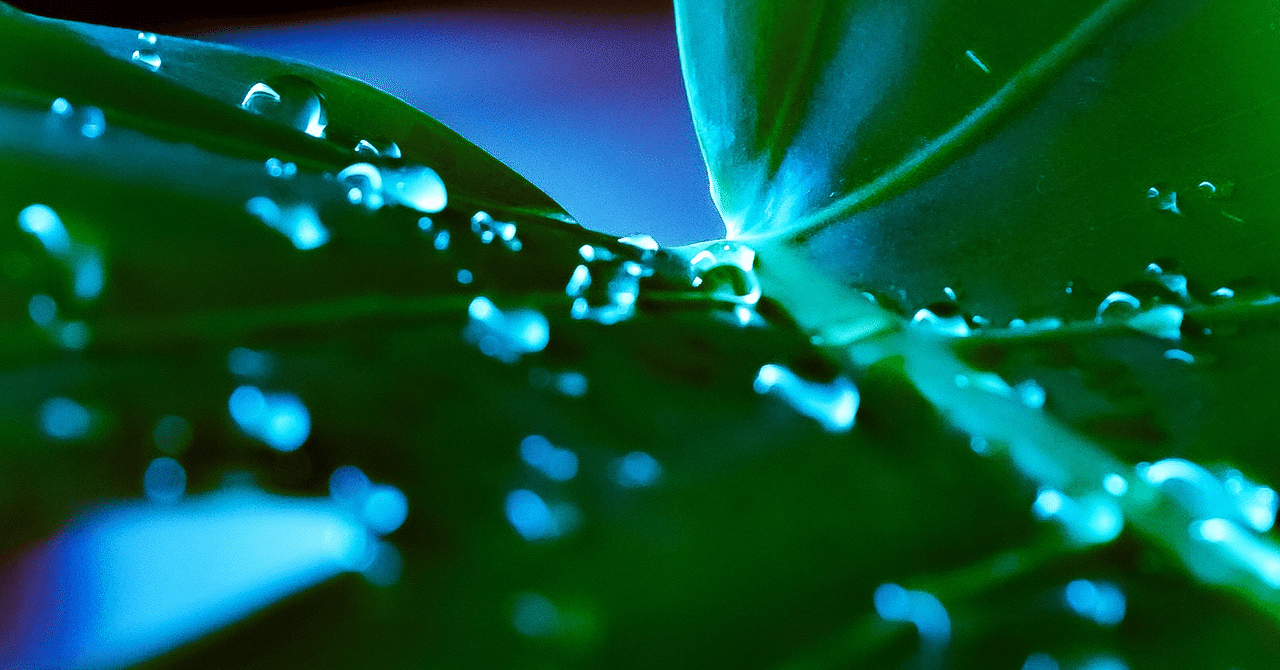 【WEB】バナーサイズ｜neko.usaさん