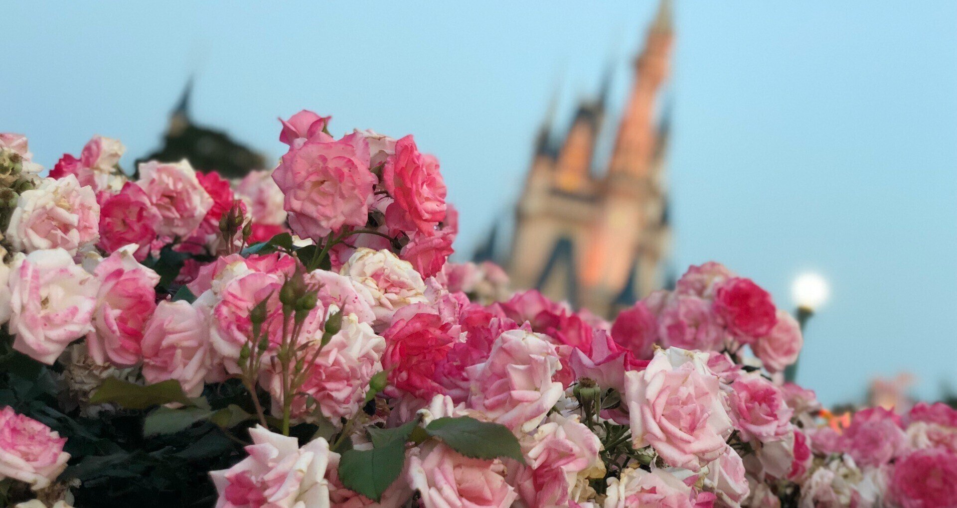 nanami takahashi｜note