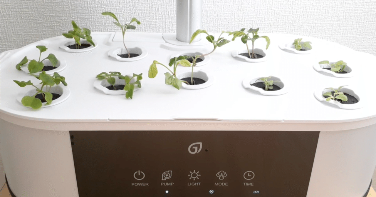 家庭菜園【15日目〜21日目】｜Aqua Farmer