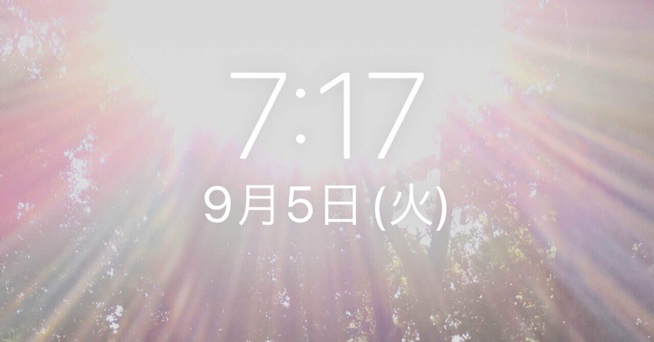 ミニマリスト。金銭感覚に自信をもつ。｜kina