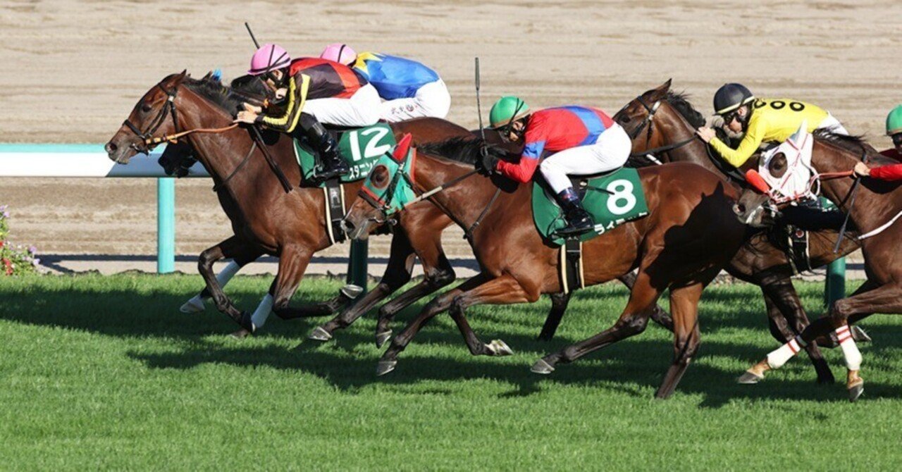 【2023 紫苑ステークス（G2）】徹底的に攻略データ篇｜Haya