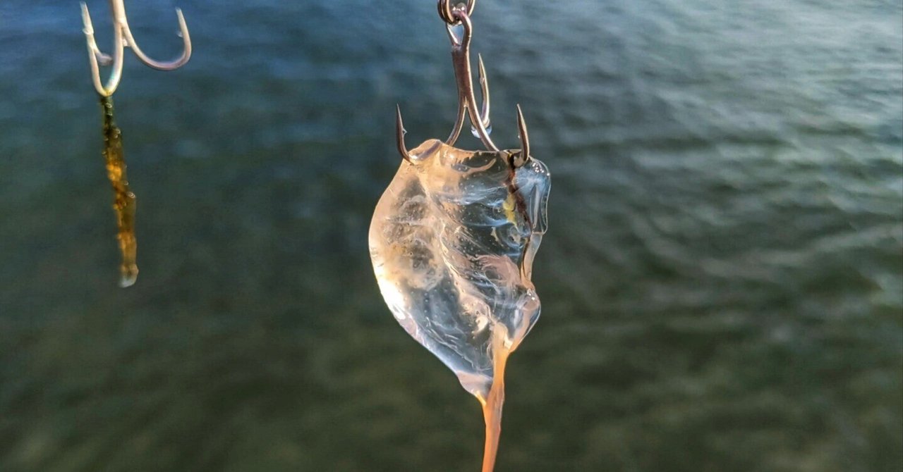 InstagramのリールとYouTubeショートを、noteに埋め込む方法｜kako-jun