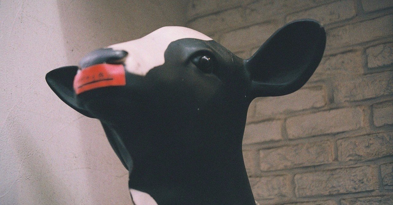 カビって食えないの？？｜taichi imamura