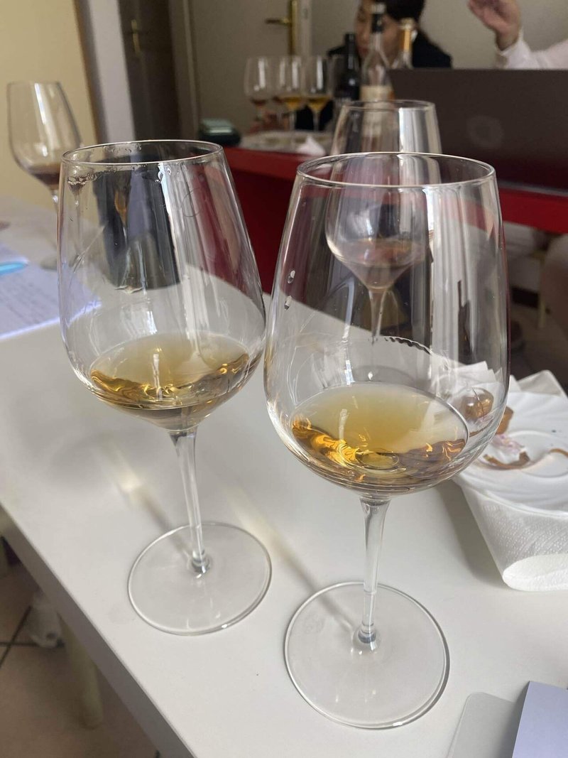 イタリア滞在246日目｜城 拓 / Hiroshi Jo