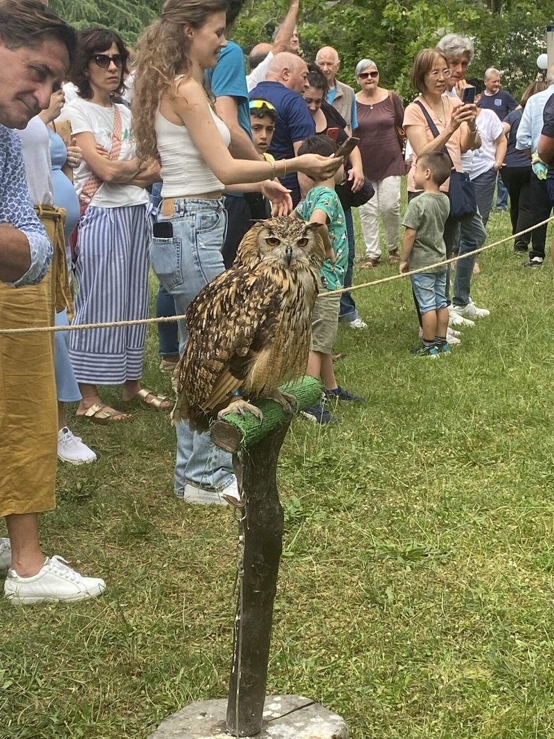 イタリア滞在247日目・248日目｜城 拓 / Hiroshi Jo