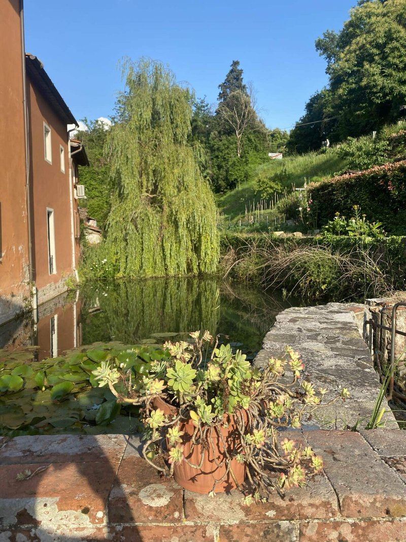 イタリア滞在247日目・248日目｜城 拓 / Hiroshi Jo