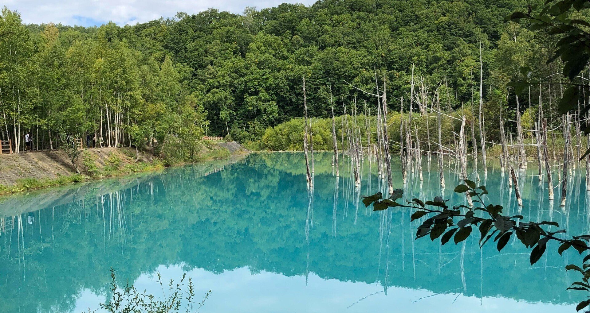 Shimada Yasutaka｜note