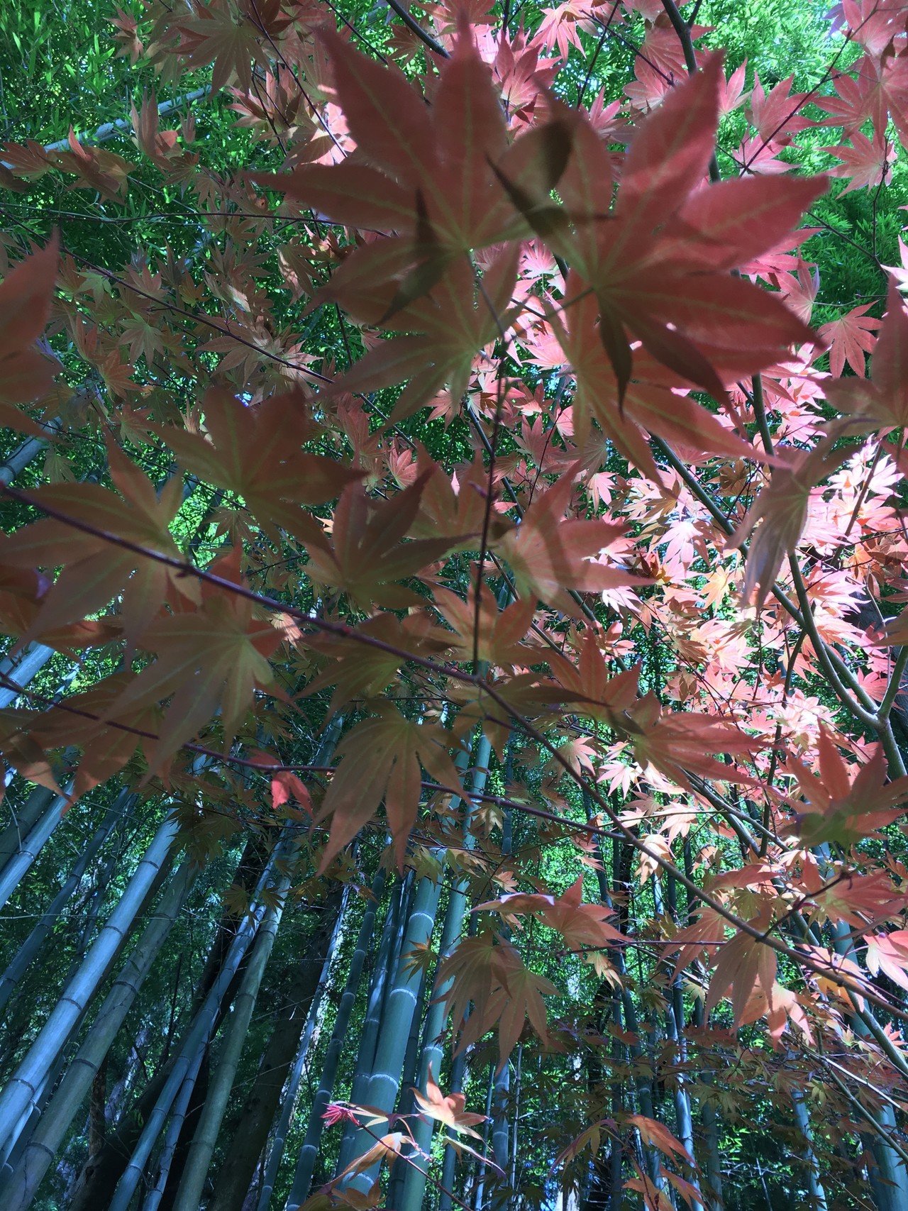 人から教えられて気付くこと…｜Rie Abe⭐︎阿邊里恵｜note