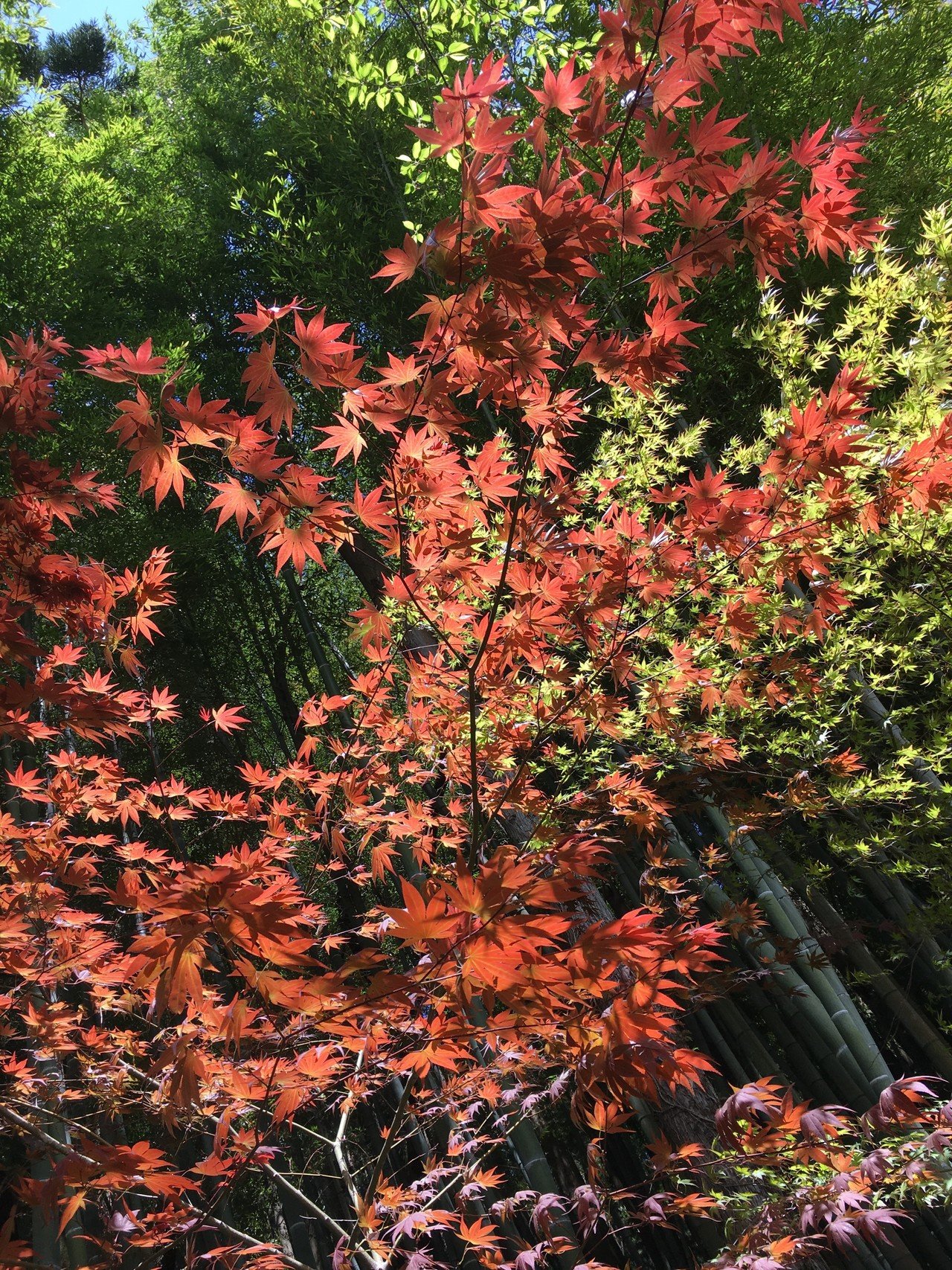 人から教えられて気付くこと…｜阿邊里恵_rie abe