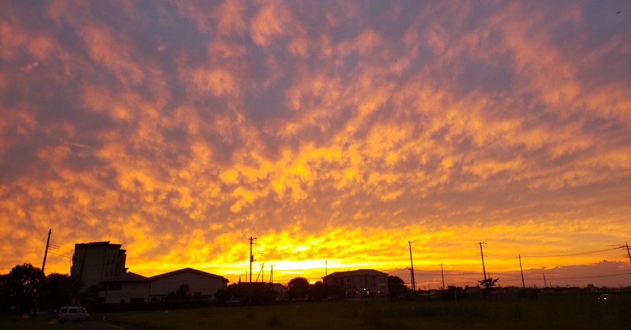 柿泥棒させていただきます｜Akira Someya