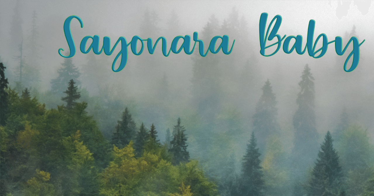 Sayonara Baby｜Zenta Sato