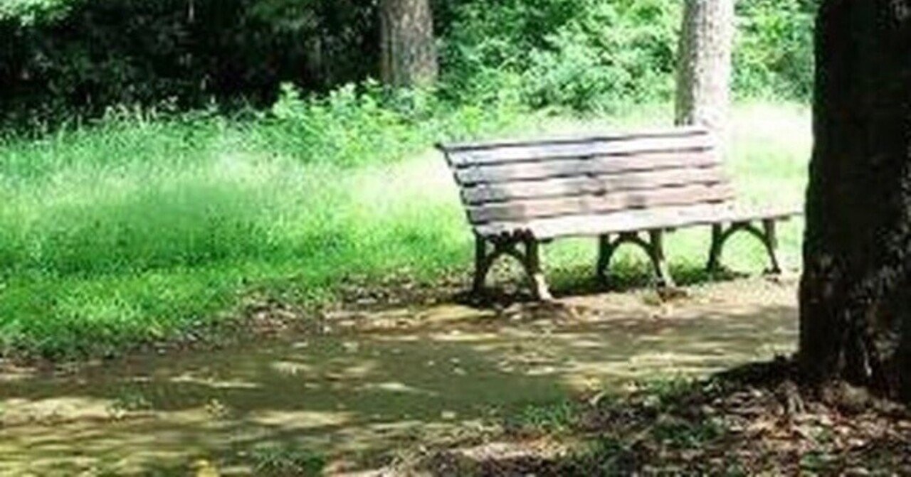 《国際結婚》セネガル人と日本で結婚する時に必要な手続き。｜leye kayo