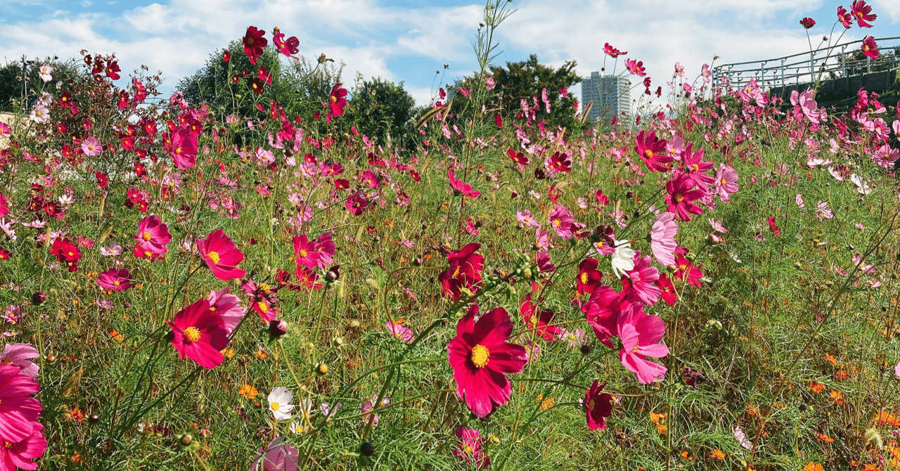 次男とヘーゼルナッツ｜MiNoRu