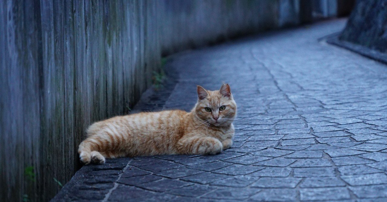 4日目 松江→尾道｜Sotaro Karasawa