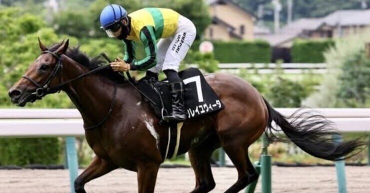 99 中央競馬中山、阪神2会場全レースセット|mia🎀競馬予想女子🐎💓無料予想公開中