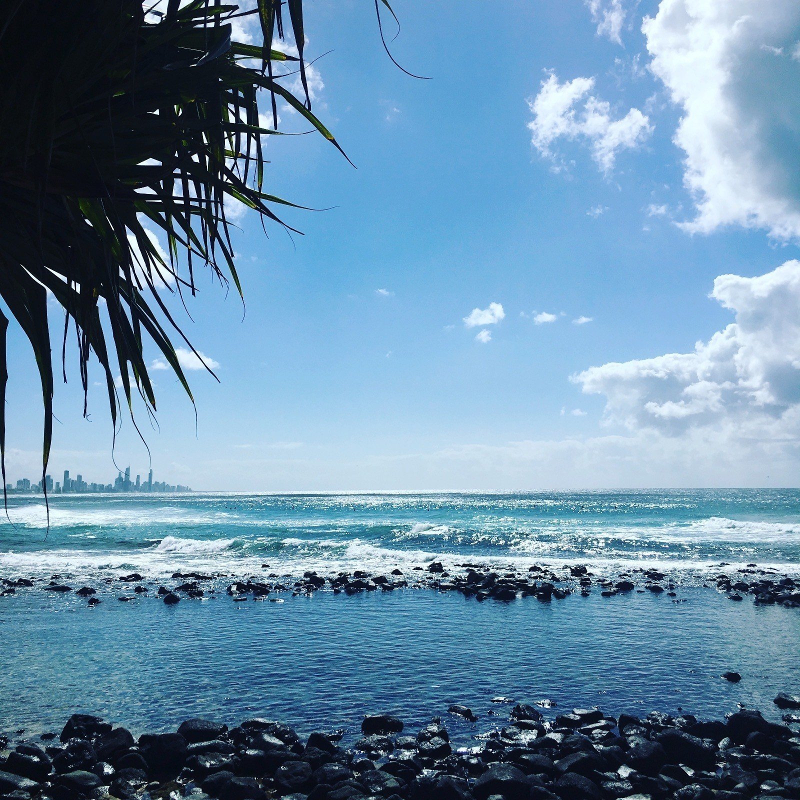 Aussieライフ｜note