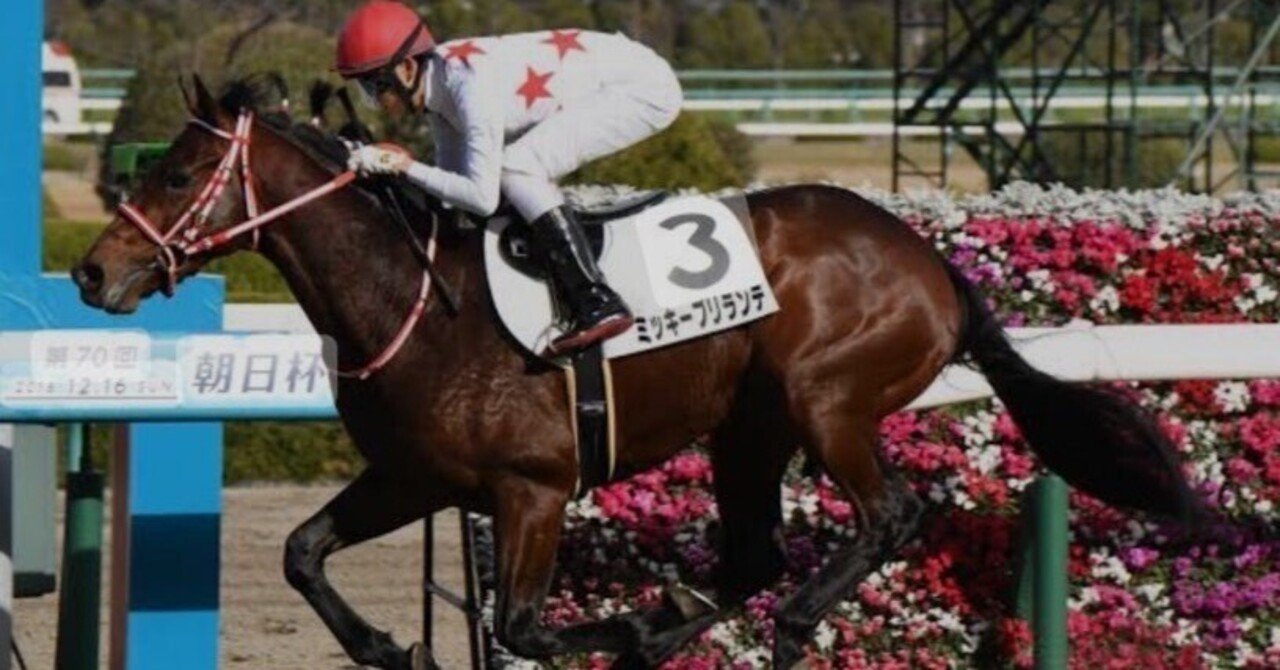 910 中央競馬中山、阪神2会場全レース予想セット|mia🎀競馬予想女子🐎💓無料予想公開中