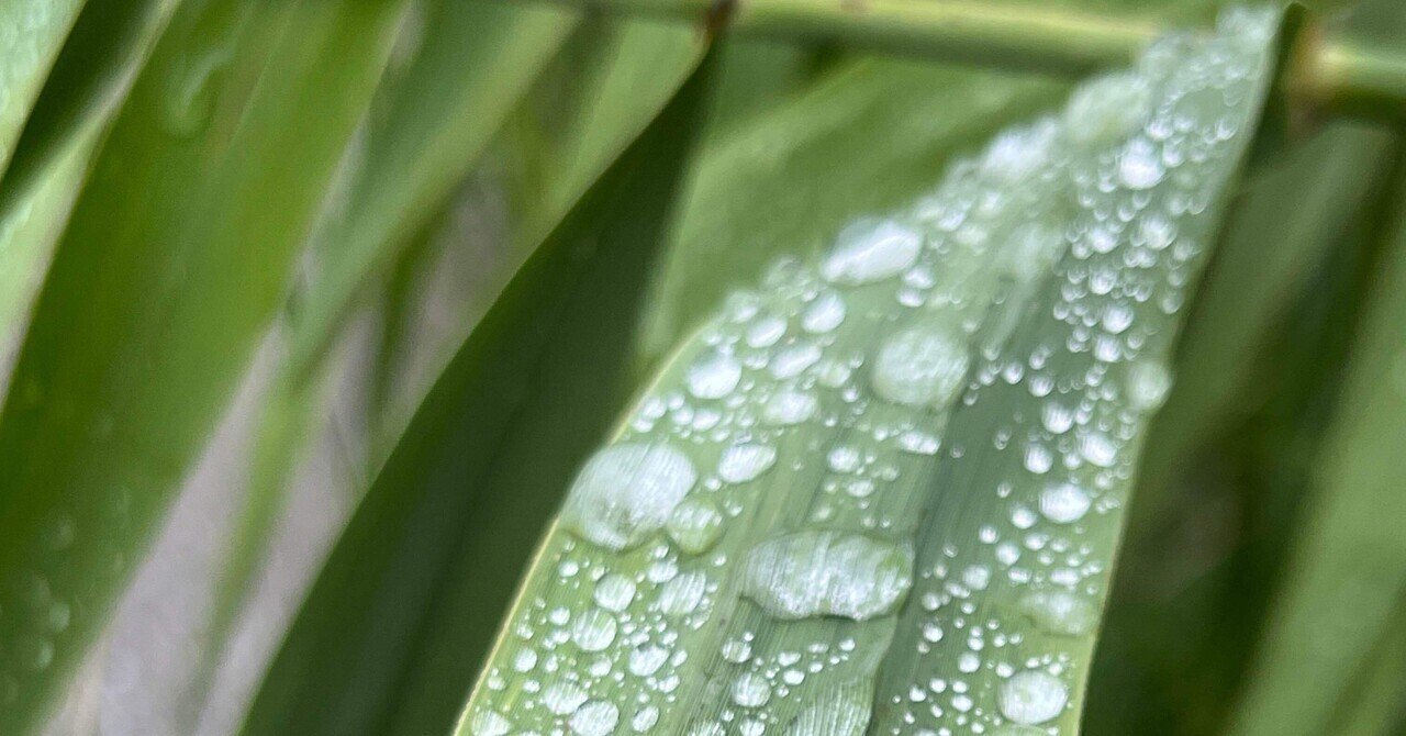 父、降臨。｜asumin