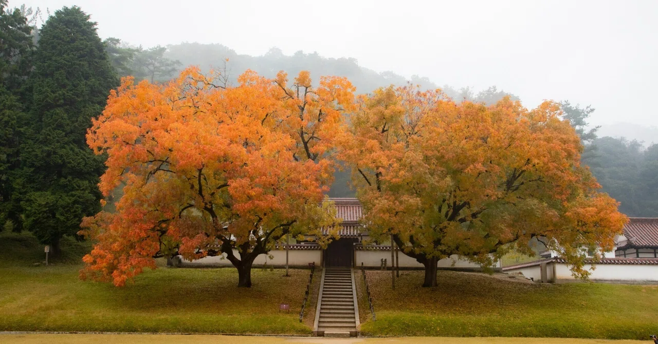 How to Turn Ordinary Places into Extraordinary Locations: Ideas to Work ...