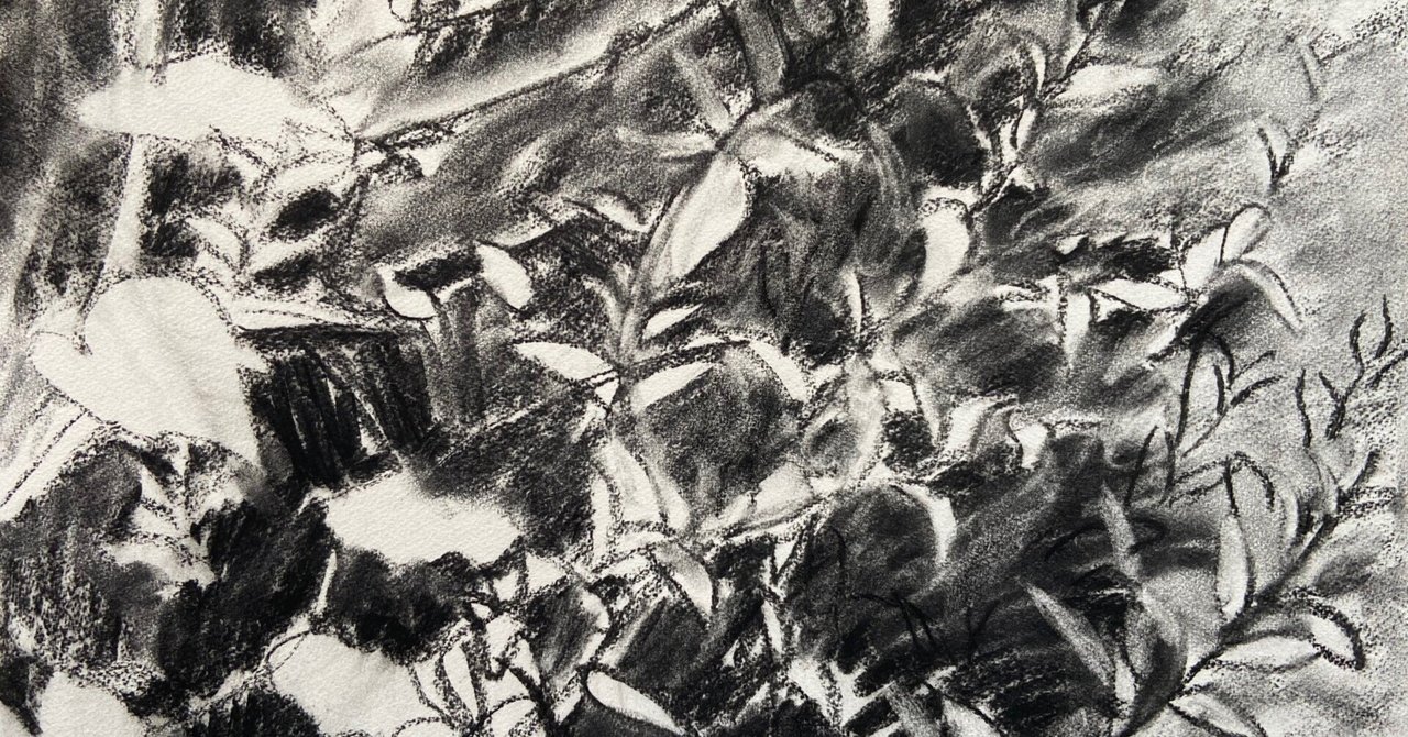 道草の家のWSマガジン - 2023年9月号｜道草の家のWSマガジン