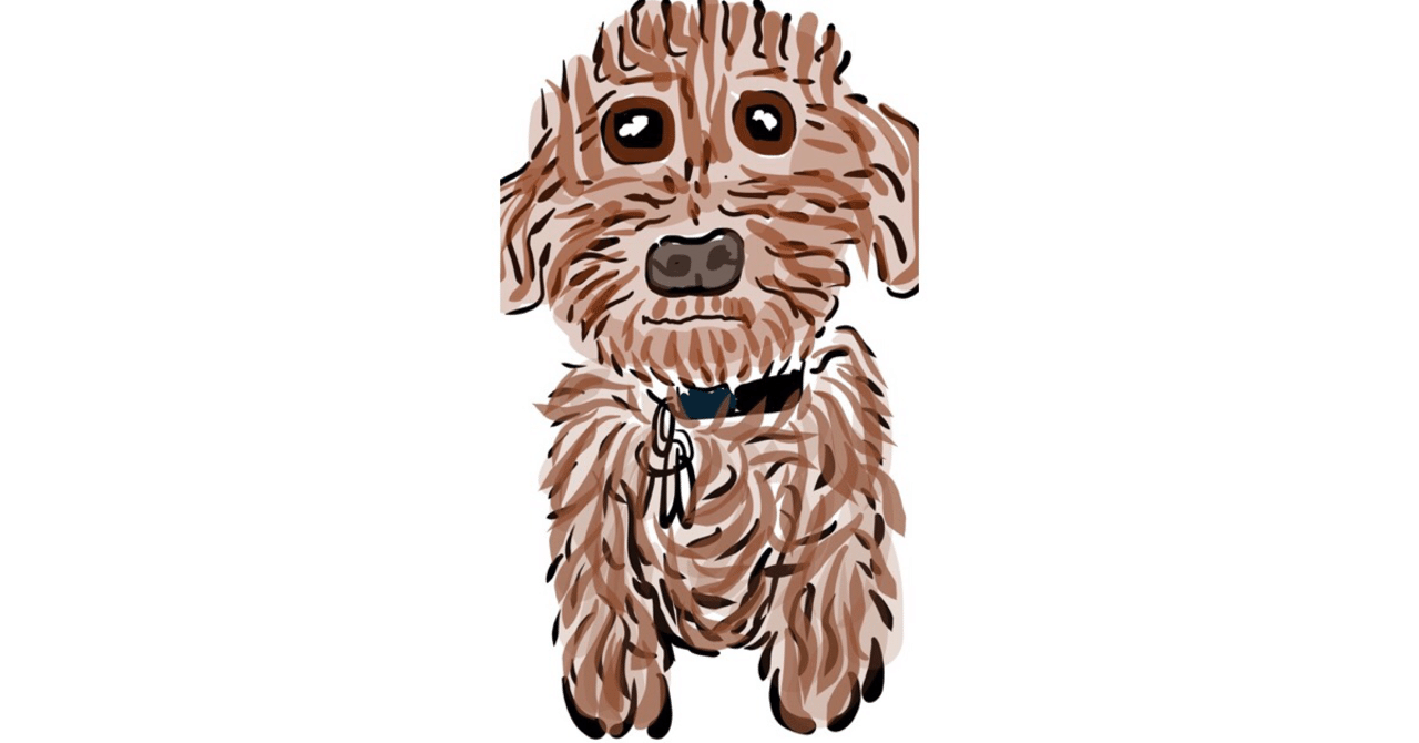 #17「最近一人でフッと笑ったこと」｜Yusuke Iwase