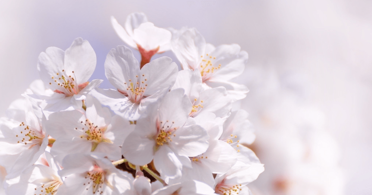 感性を拡張する：評価軸の後天的獲得｜katoshi