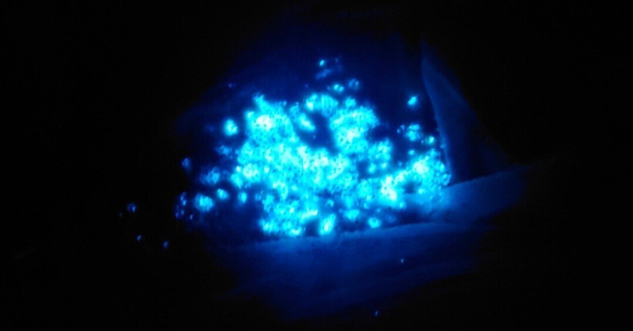 miracleave株式会社｜note