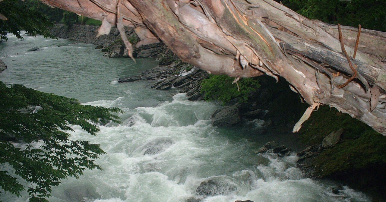 Too Many Traps．ニートの戦略｜青りんご