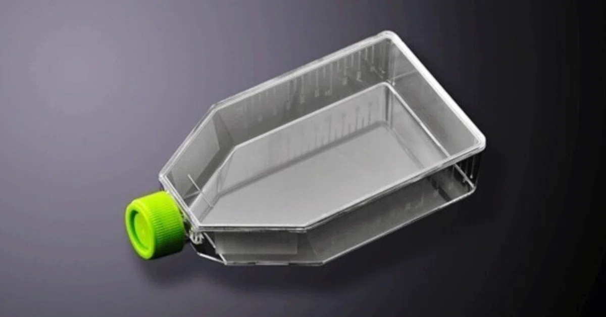 VWR® Cell Culture Flasks｜avantorjapan