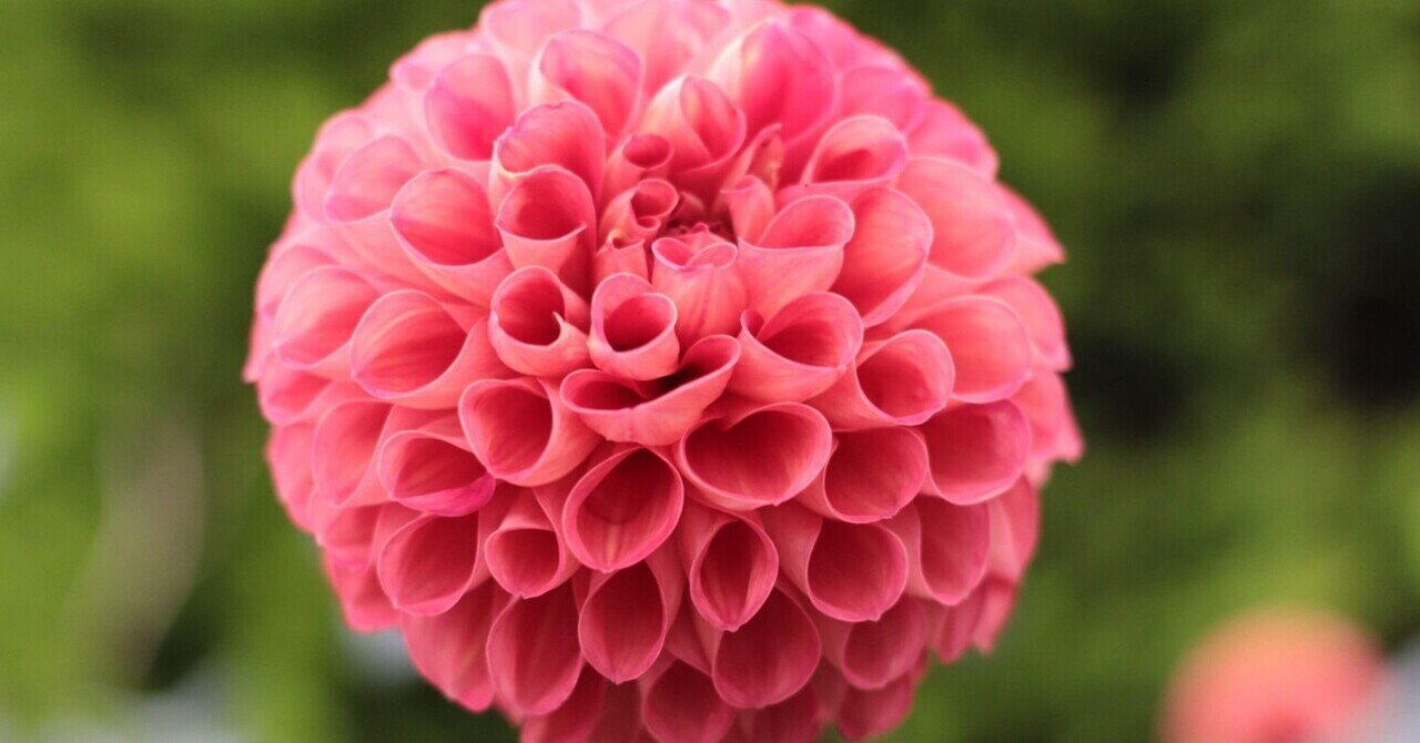 3行日記 2023/9/12(火)｜ろぱ