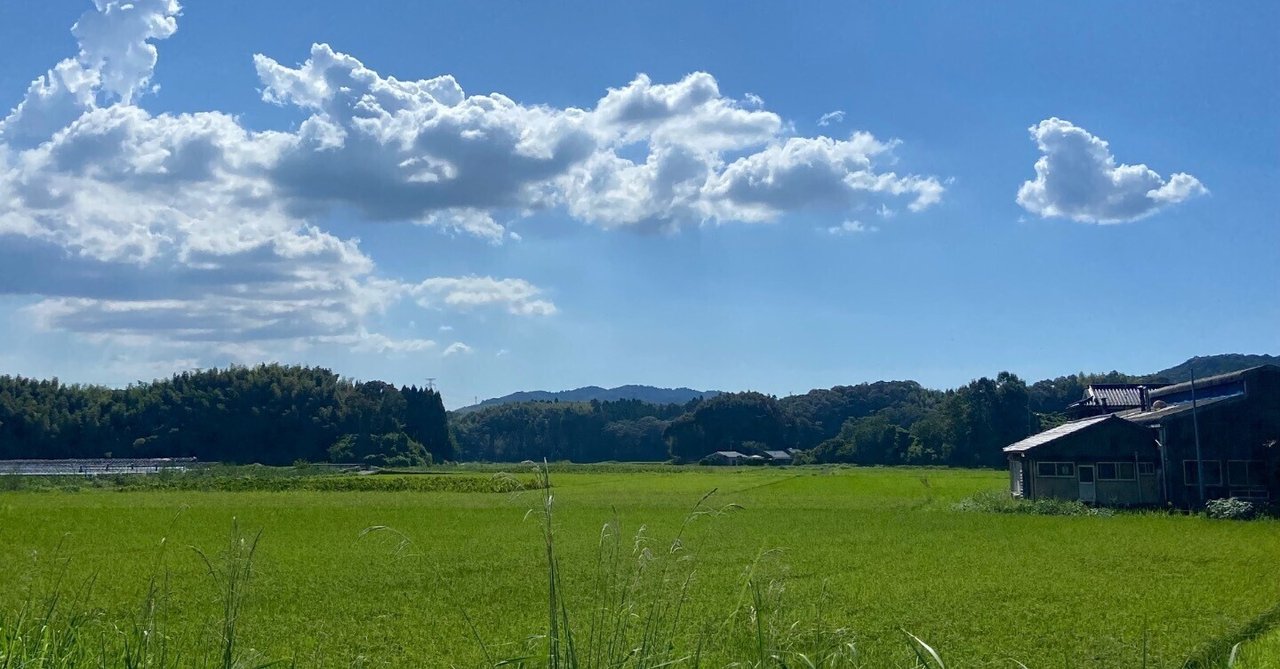 地域おこし協力隊になって、約3週間が過ぎました。その心境やいかに、、｜タグチカナコ｜Kanako Taguchi