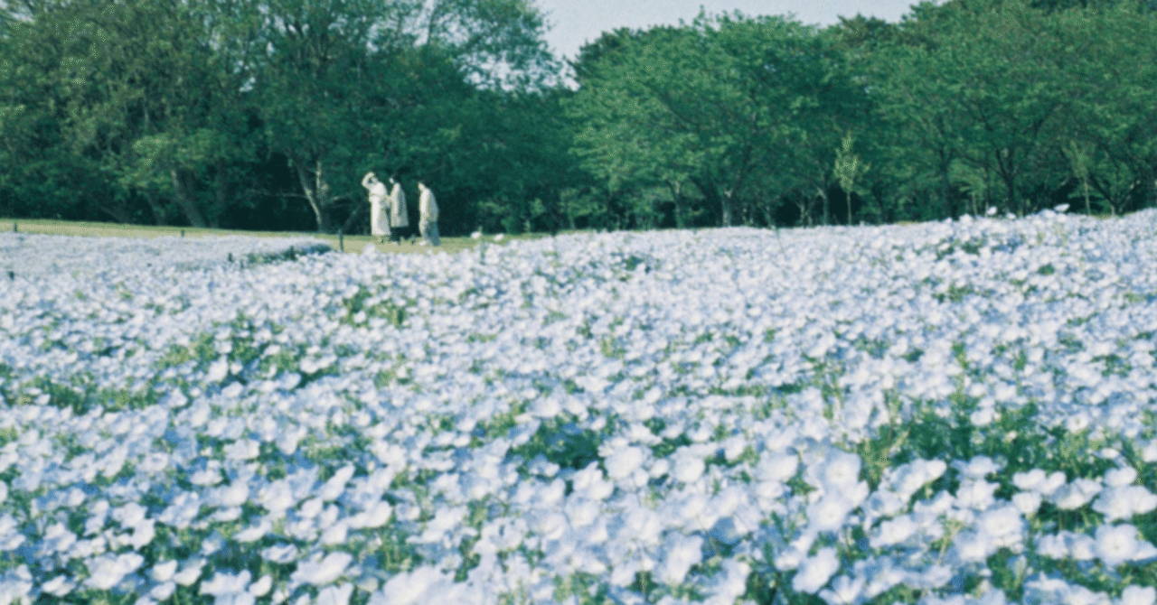 気ままに書きます。｜hinari