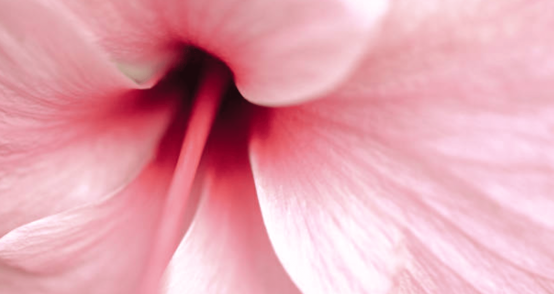 𝐒𝐀𝐓𝐎𝐌𝐈｜note