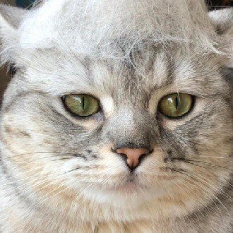 [AtCoder] ABC107 B - Grid Compression｜kharigai