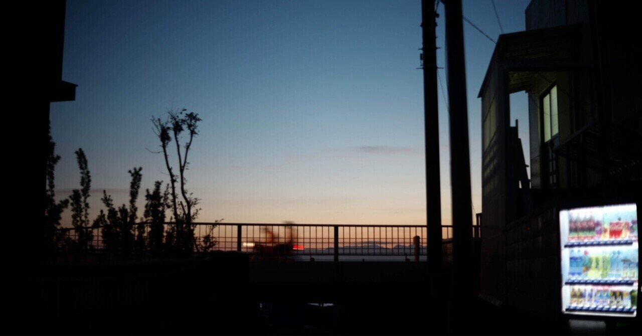 Late Summer｜shirasu camera