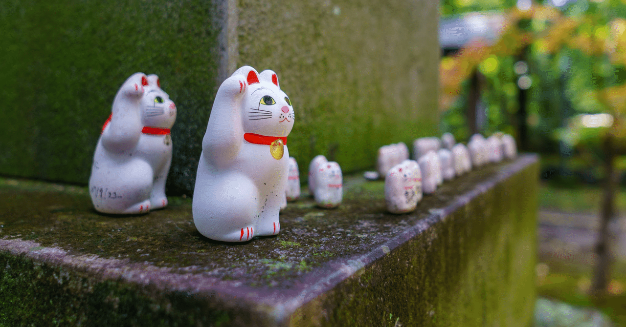 テーマで決める一人旅 第一弾｜YMS