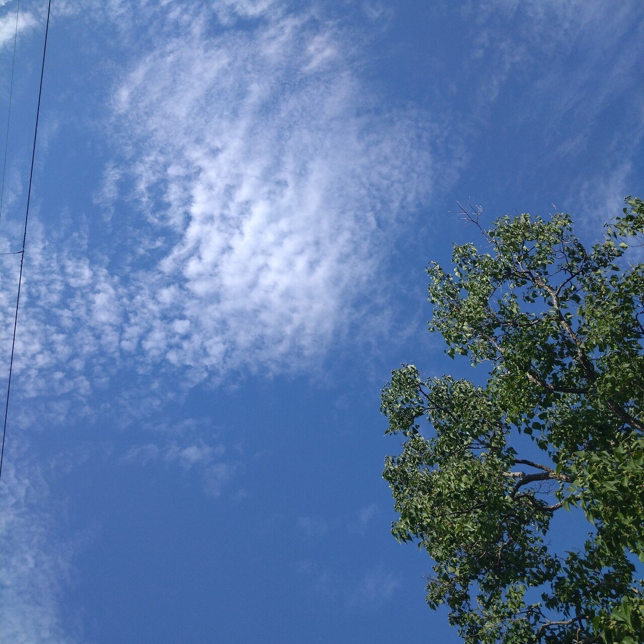 りんだ🎹stand.fm公式パートナーSPP｜note