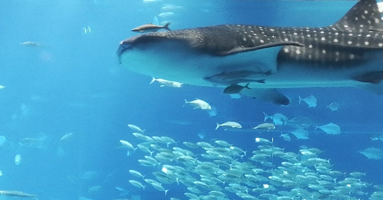 今の自分の人生はYESですか？NOですか？｜kotonoha.studio / Shinobu