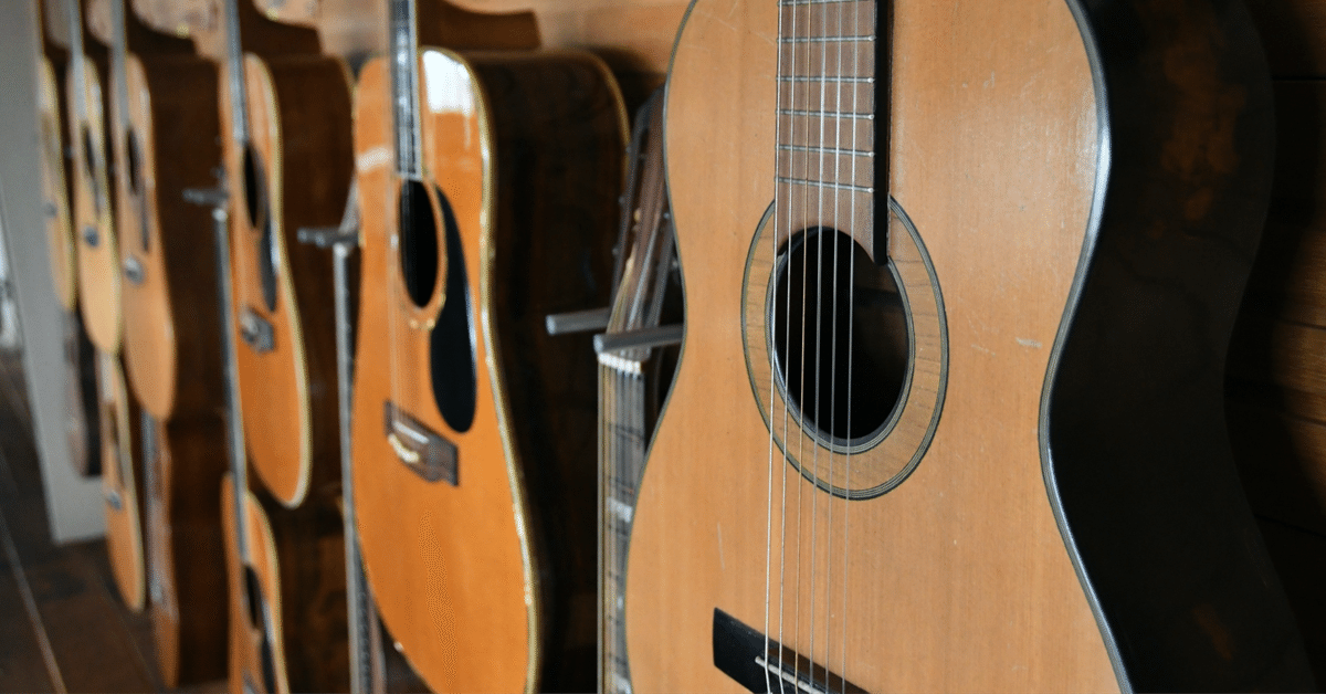 機材紹介：Archtop Tribute AT102｜Hikosans