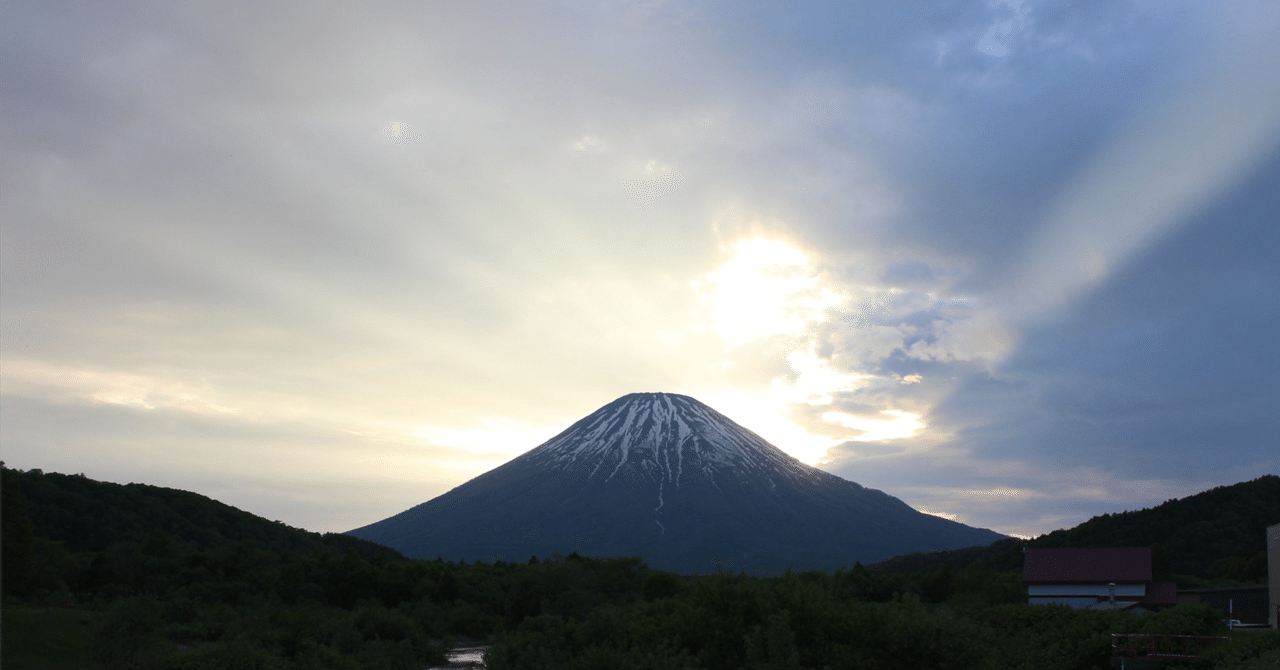 販売プロセス企画チーム、いかがですか？｜横手直樹 naoki yokote