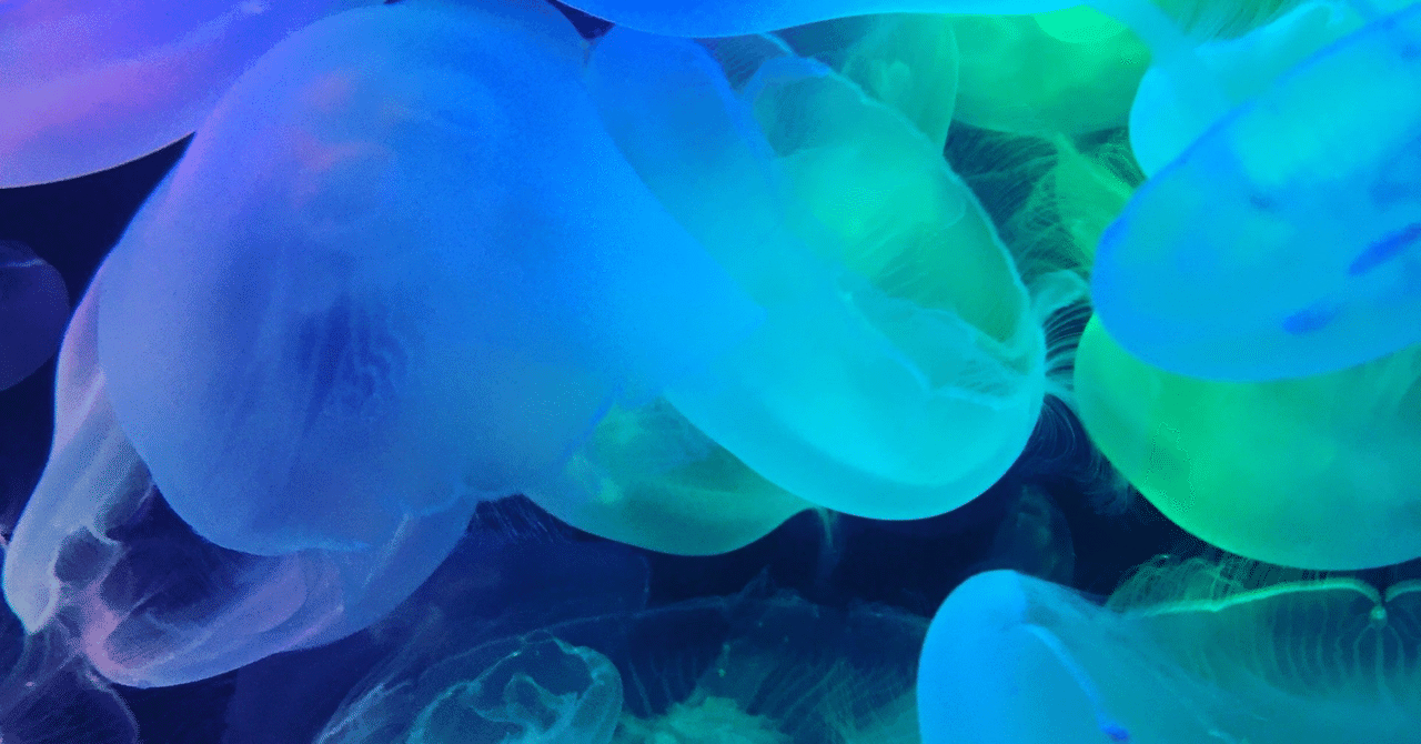 「生命とは何か、という問い」について考える｜katoshi