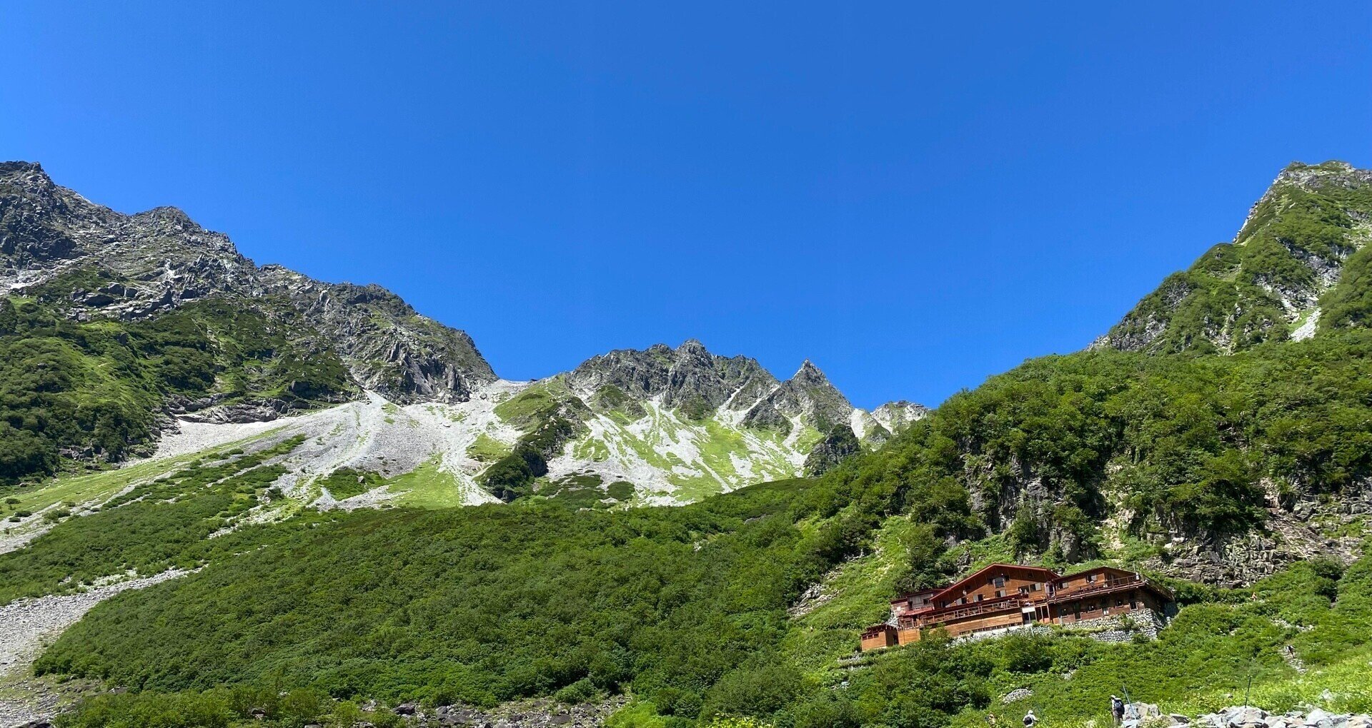 あおいとり | AOITORI｜note