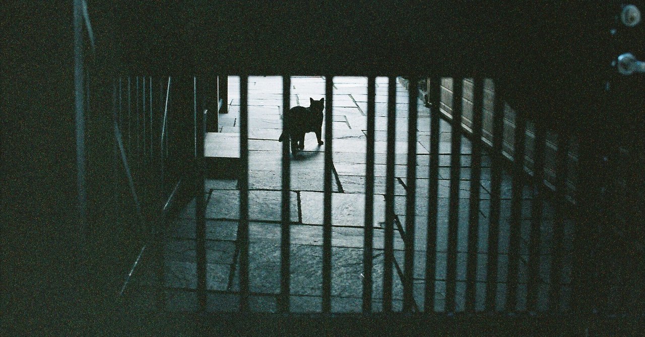 40歳独身女・今より自分が楽しい場を求めて(初回投稿・次回未定)｜Akko