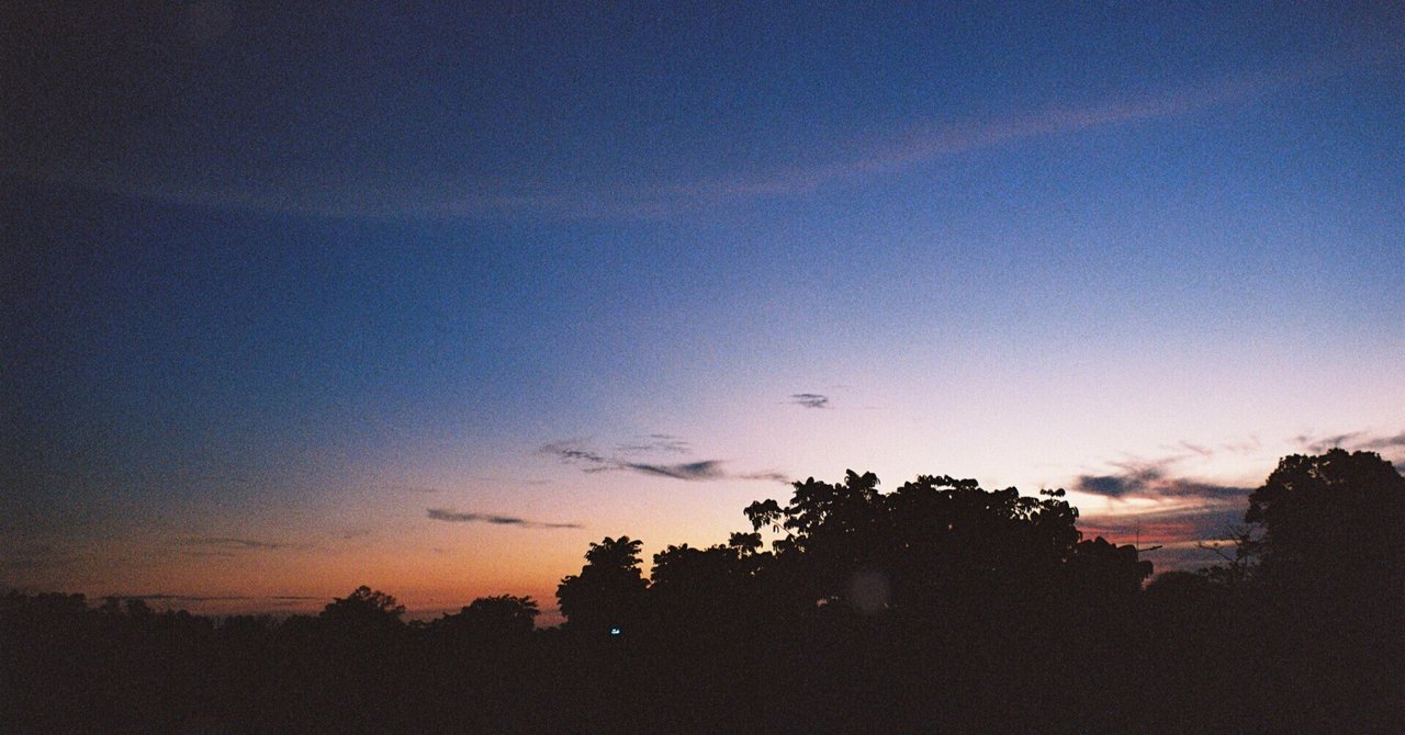 たぶん。なぜ？｜Peter November