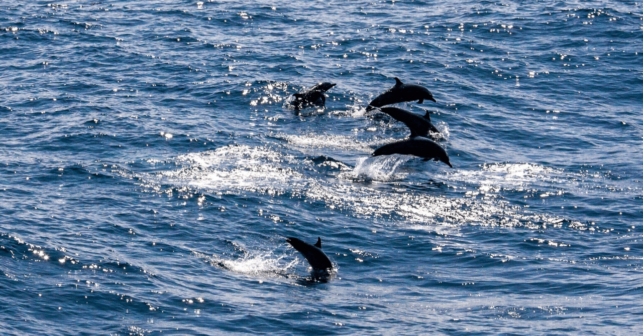 第1巻 34番〜作者 川島皇子｜ichiro70