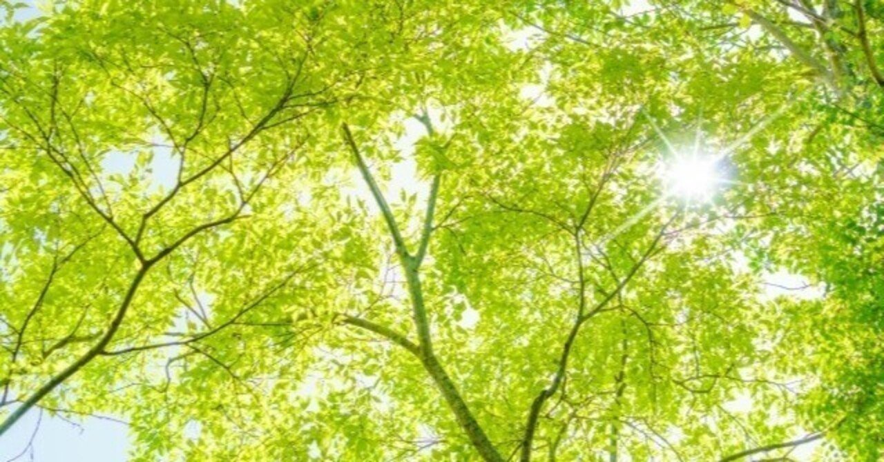 MBS統合メソッド 体験してみえた本当のこと｜key