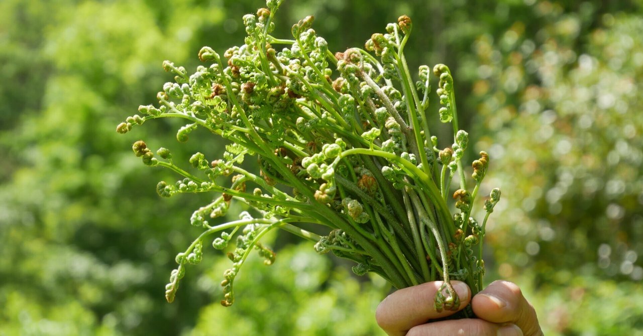 風景としてだけでなく、体感することで、その場所が自分事化される｜kota hara