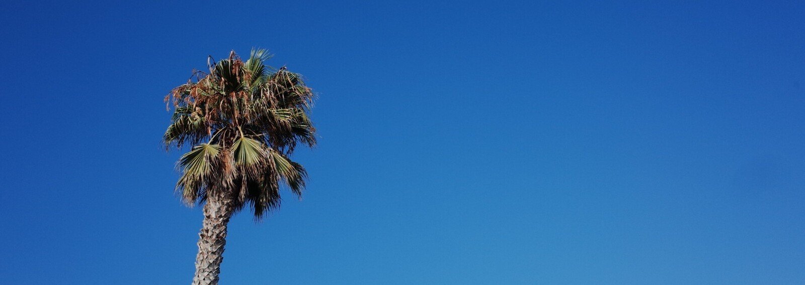 長瀬ほのか｜note