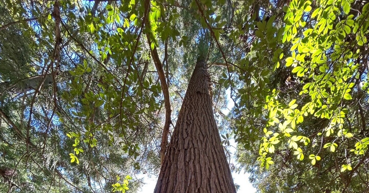 【まとめ】2023年夏の不思議な体験｜Chiaki Kamuki