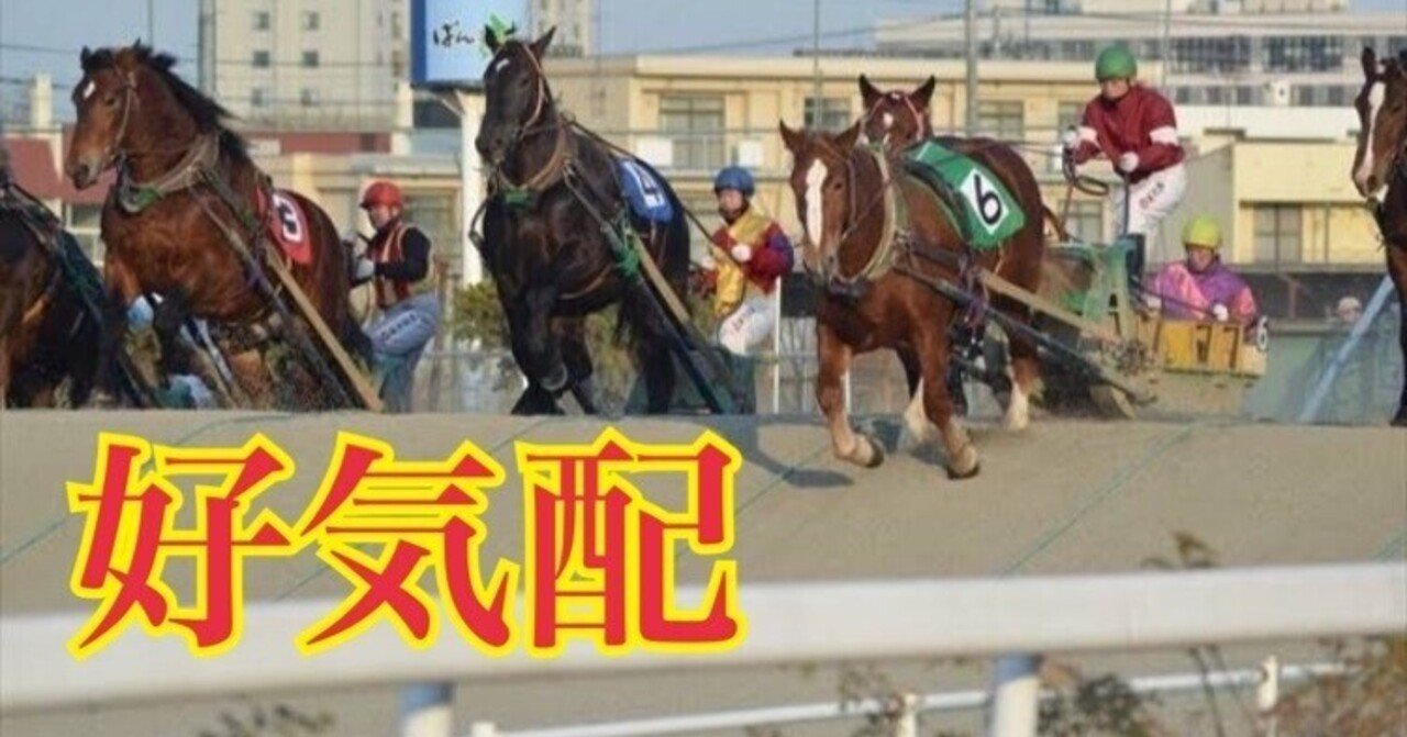 #帯広10R 19:08締切👑くぐってきた修羅場の数が違う👑｜ばんえい競馬専門🧧極